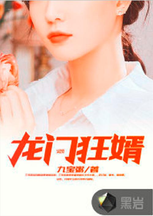 龙门狂婿