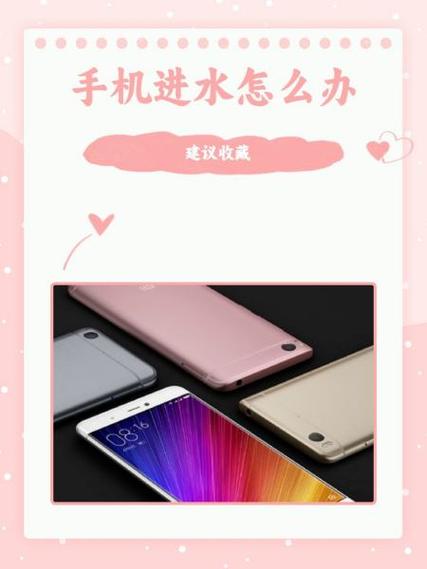 不确定手机有没有进水怎么办截图