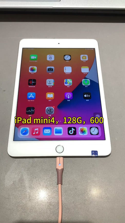 mini4平板参数截图