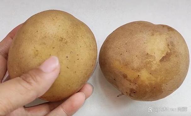 土豆去皮的梗叫什么图标