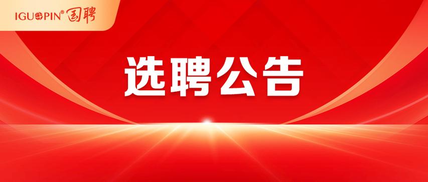 河北人才网招聘官网图标