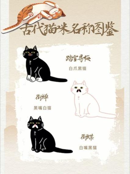 猫一直叫是为什么图标
