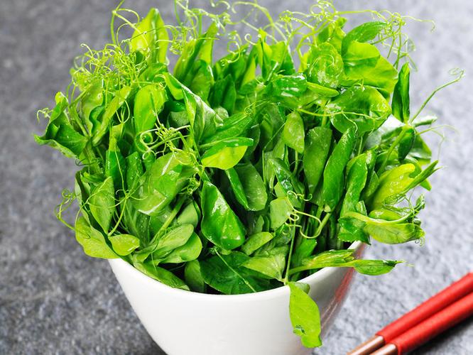 喜鹊儿老版本豌豆荚图标