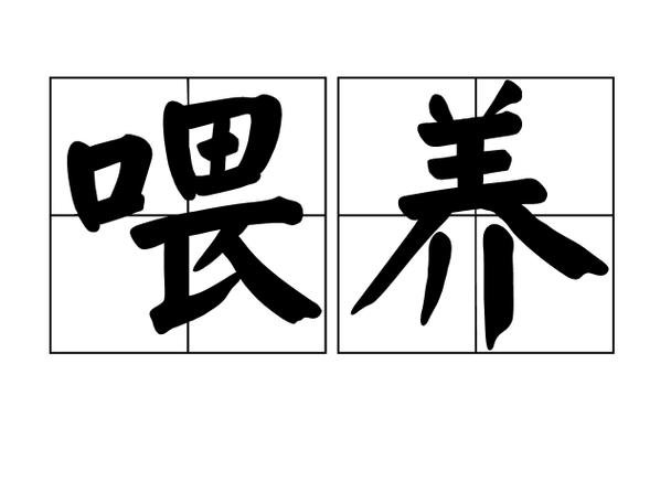喂饭是什么意思