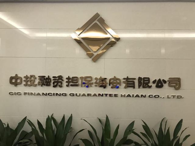 担保公司图标