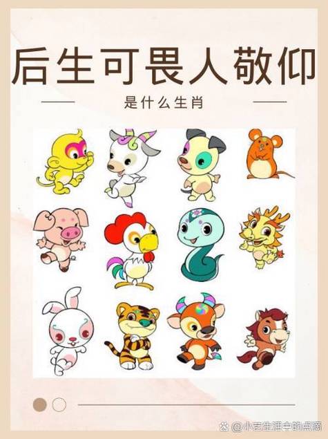 96年鼠能不能生马宝宝
