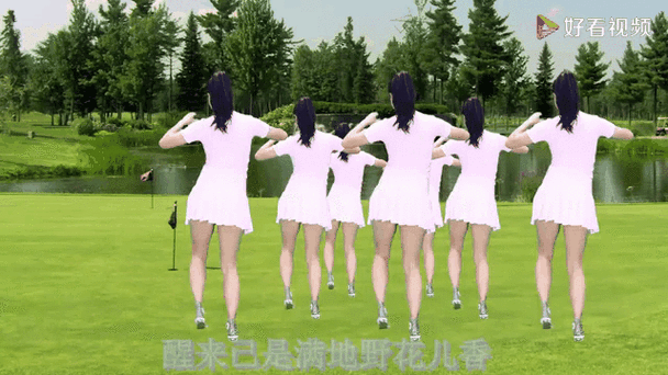 网络最火广场舞曲dj截图