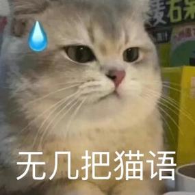 叫猫咪过来的喵语图标