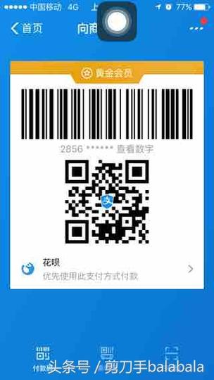 支付宝付款码在哪里图标