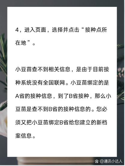 小豆苗预防接种查验证明在哪里图标
