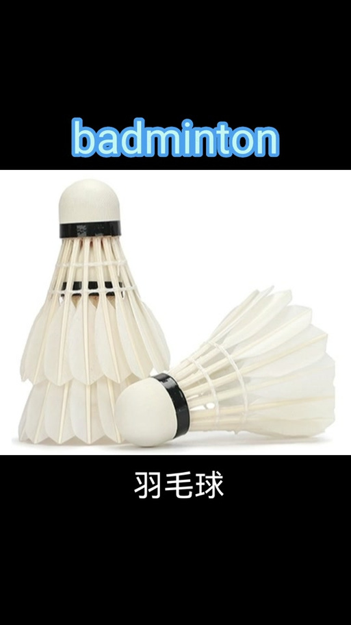 BADMINTON羽毛球图标