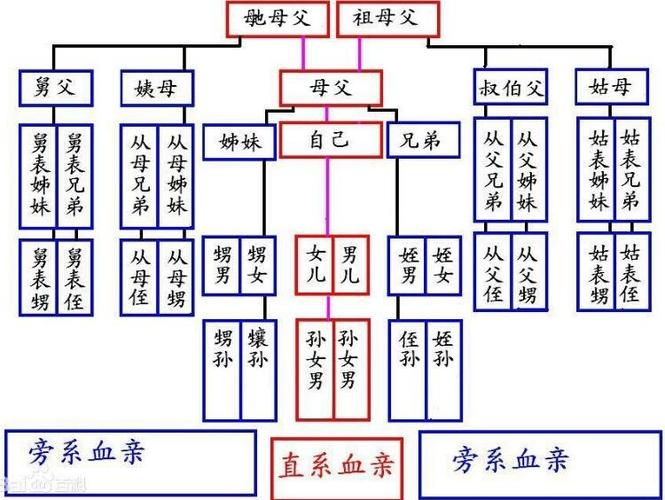 家谱辈分称呼怎么排图标