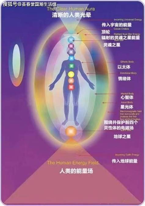 身体的能量场图标