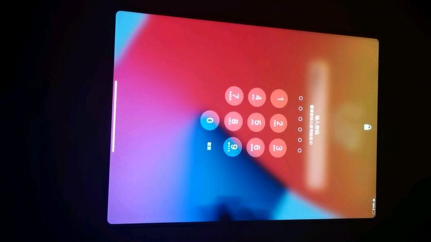 ipad屏幕间歇失灵截图