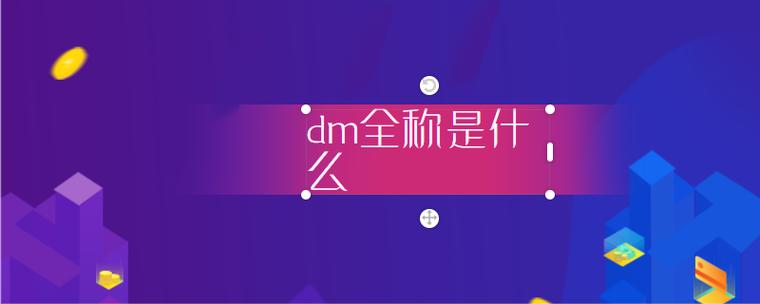 dm的全称图标