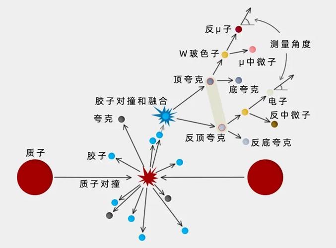 夸克确认关联