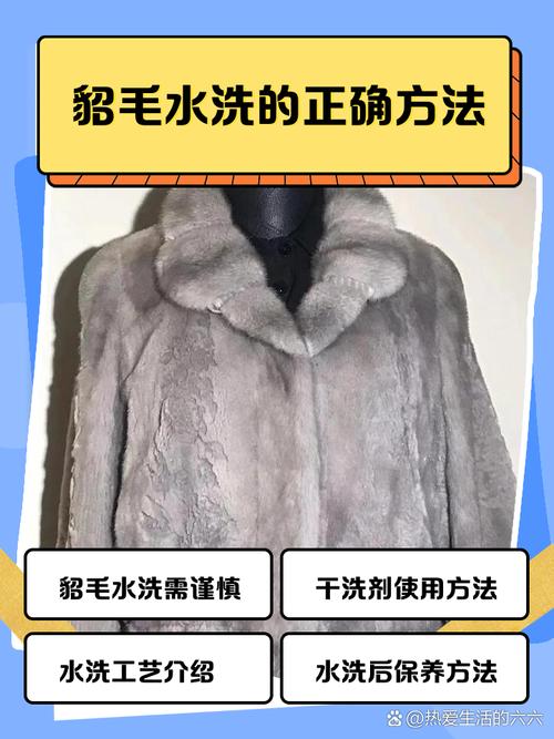 水貂毛水洗的正确方法截图