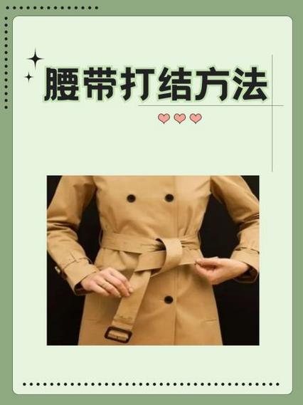 双环扣腰带蝴蝶结图解图标