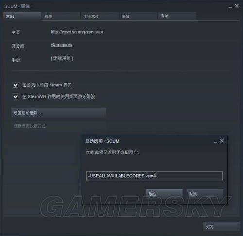scum窗口模式截图