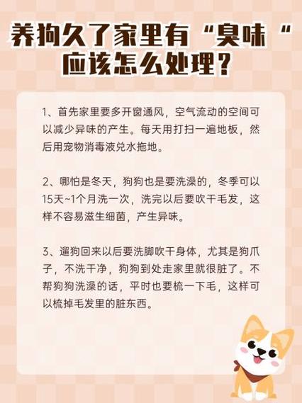 家里臭味太重怎么去除图标
