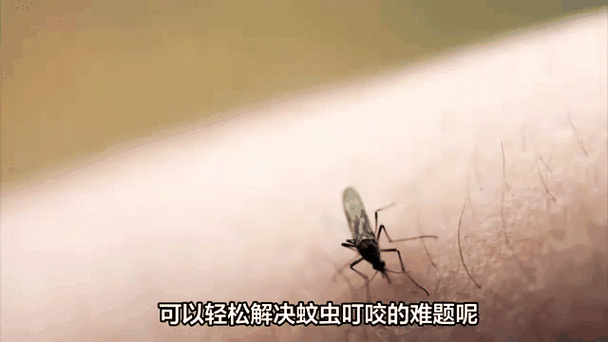 蚊子最怕三样气味图标