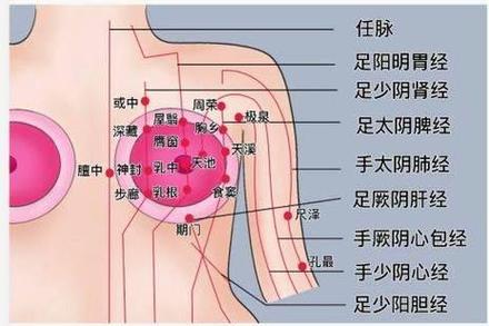 上胸的准确位置图图标