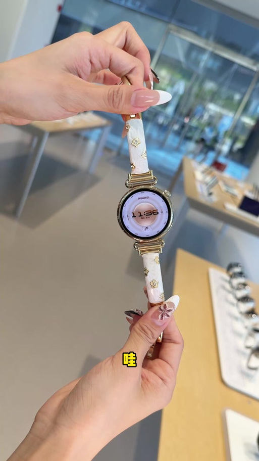 华为GT6女士图标
