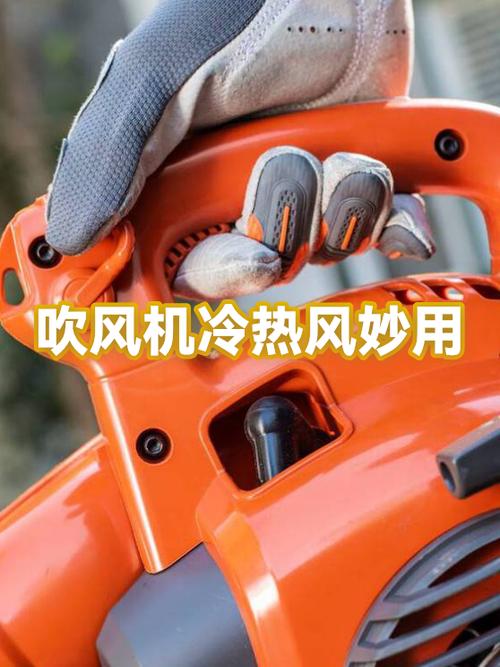 吹蓬松用冷风还是热风截图