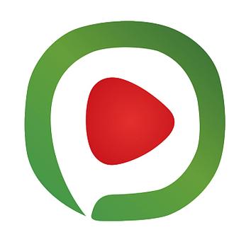 西瓜视频pc端叫什么图标