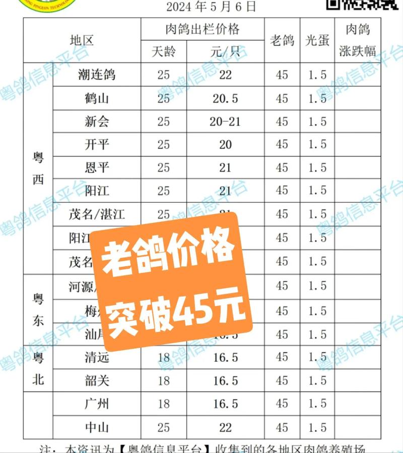 小鸽子多少钱一只图标