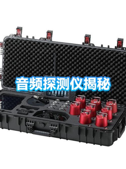 耳朵听力有回音是怎么回事图标