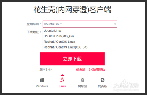 花生壳DDNS图标