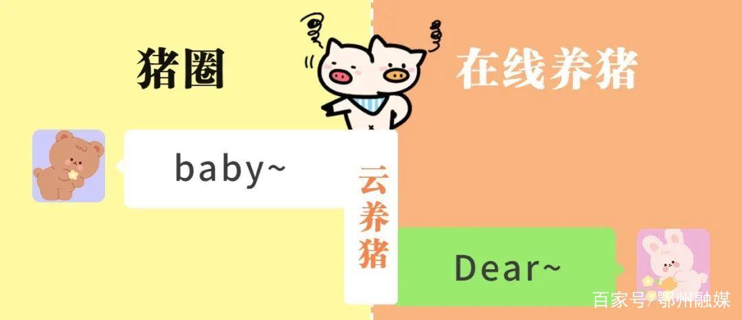 云养猪是什么意思图标