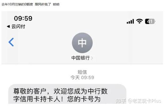 中国银行为什么我在app上已经调整额