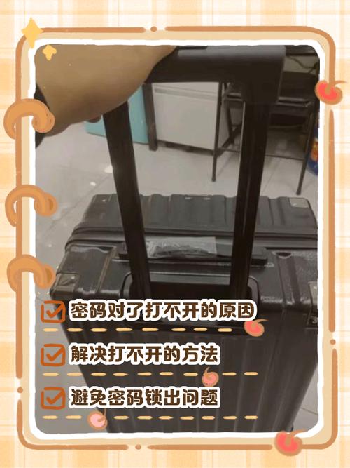 皮箱密码对但是打不开图标