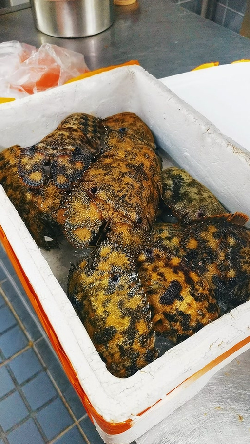 皮皮虾真名叫什么图标