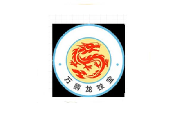 龙商城是什么平台图标