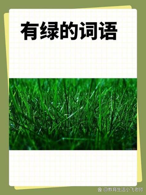 骨绿绿类似词语图标