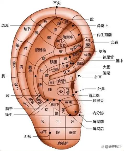 喷嚏图卦8小时截图