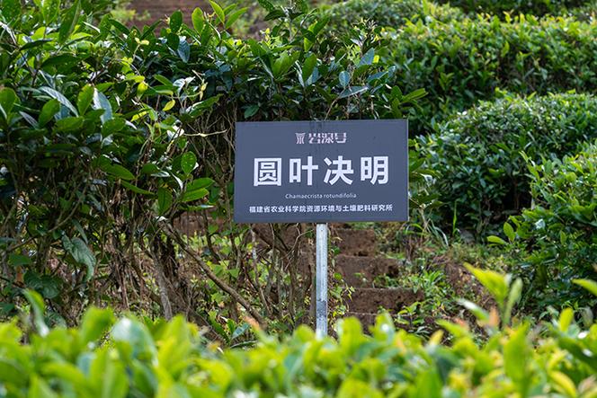 生态茶园需要认证吗?截图
