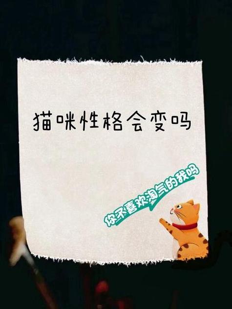猫咪成长记辅助截图