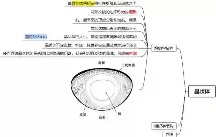 什么是晶状体图标