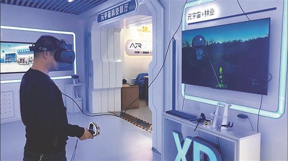 元宇宙科技有限公司