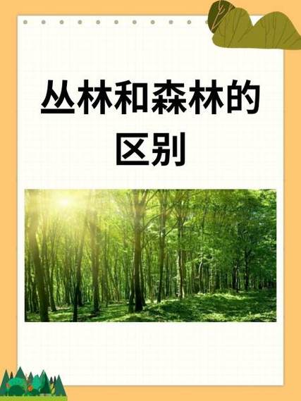 森林和树木之间的关系