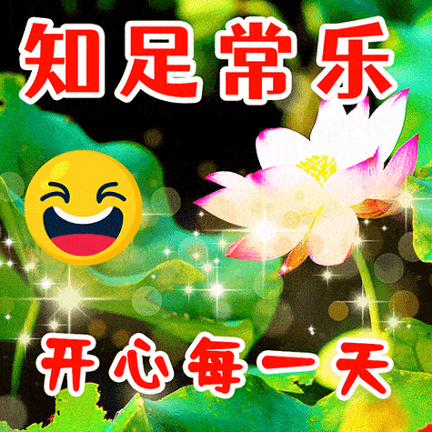 发愉快表情意味着什么图标