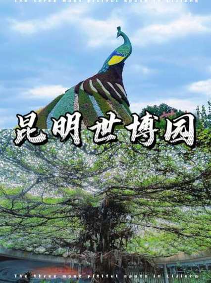 昆明旅游攻略截图