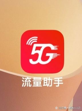 华为怎么开启流量下载权限图标