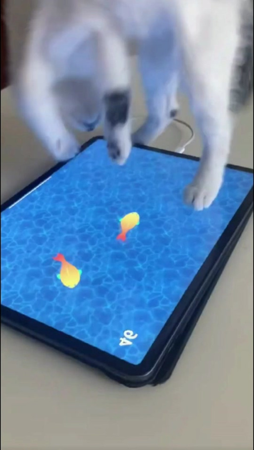 《peppycat抓鱼》下载缩略图