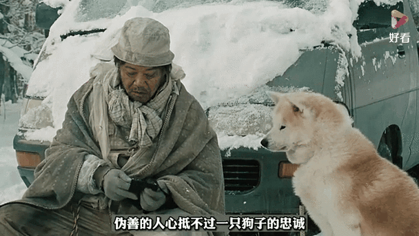 星守之犬国语版免费观看图标