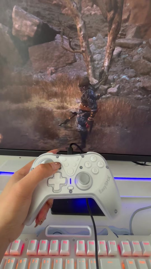 黑魂1steam手柄会自动攻击截图